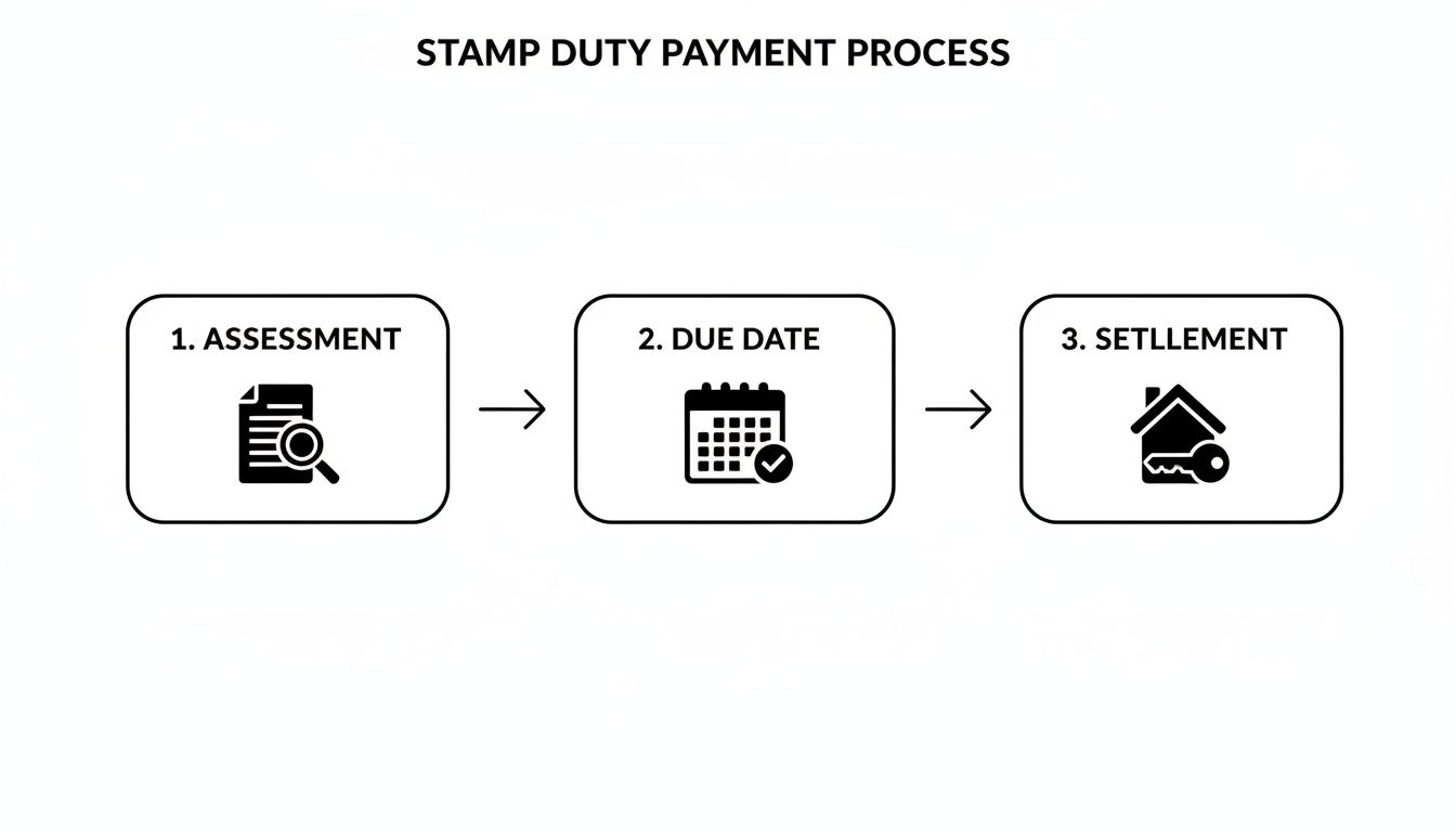 When Is Stamp Duty Paid A Guide for WA Homebuyers - David Beshay Real ...