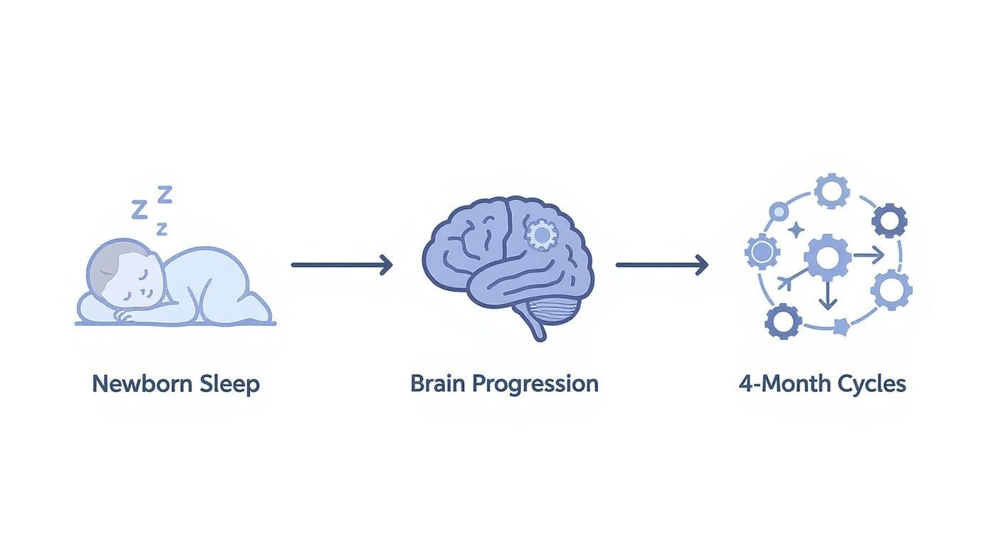 Your Guide to the 4 Month Sleep Schedule - hiccapop