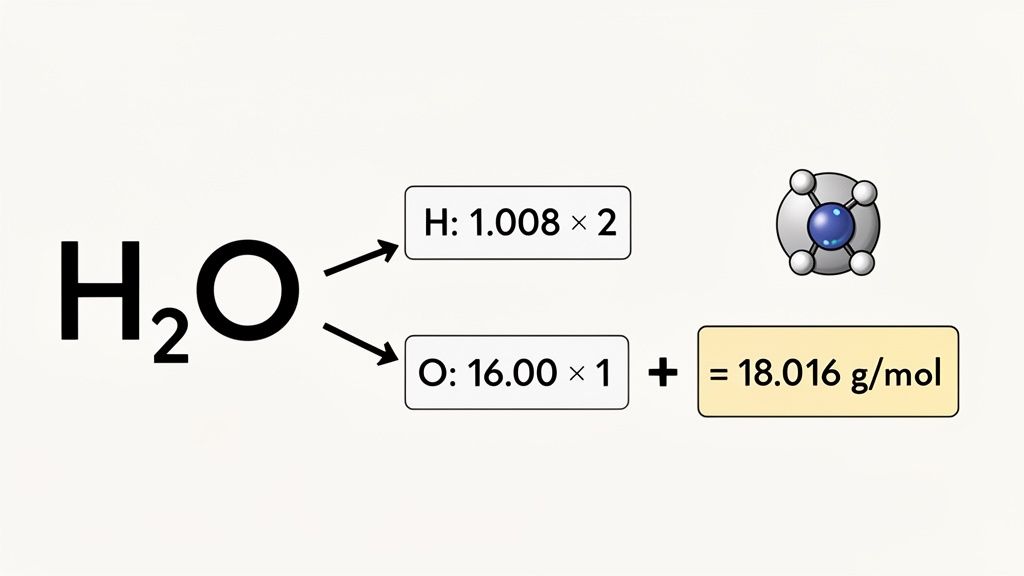 A Chemist's Guide on How to Calculate Molar Mass - Feen AI