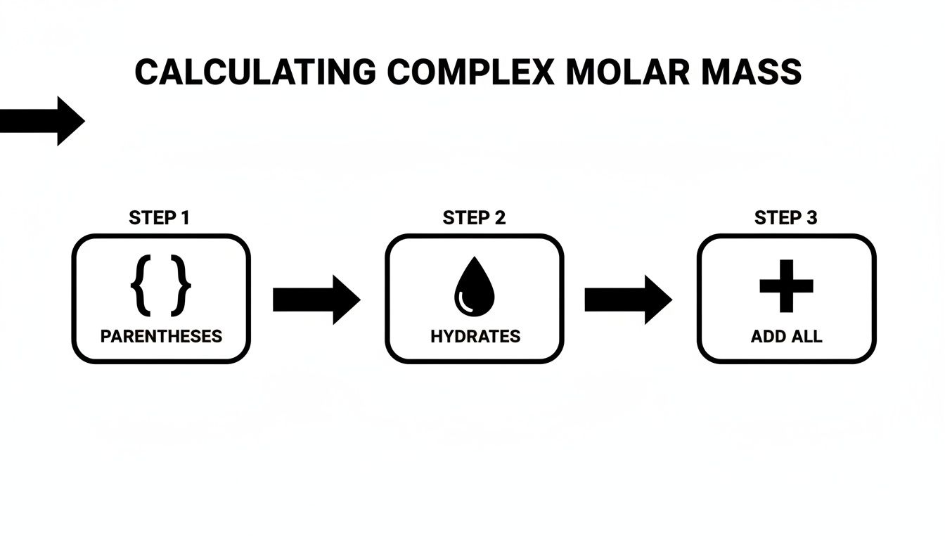 A Chemist's Guide on How to Calculate Molar Mass - Feen AI