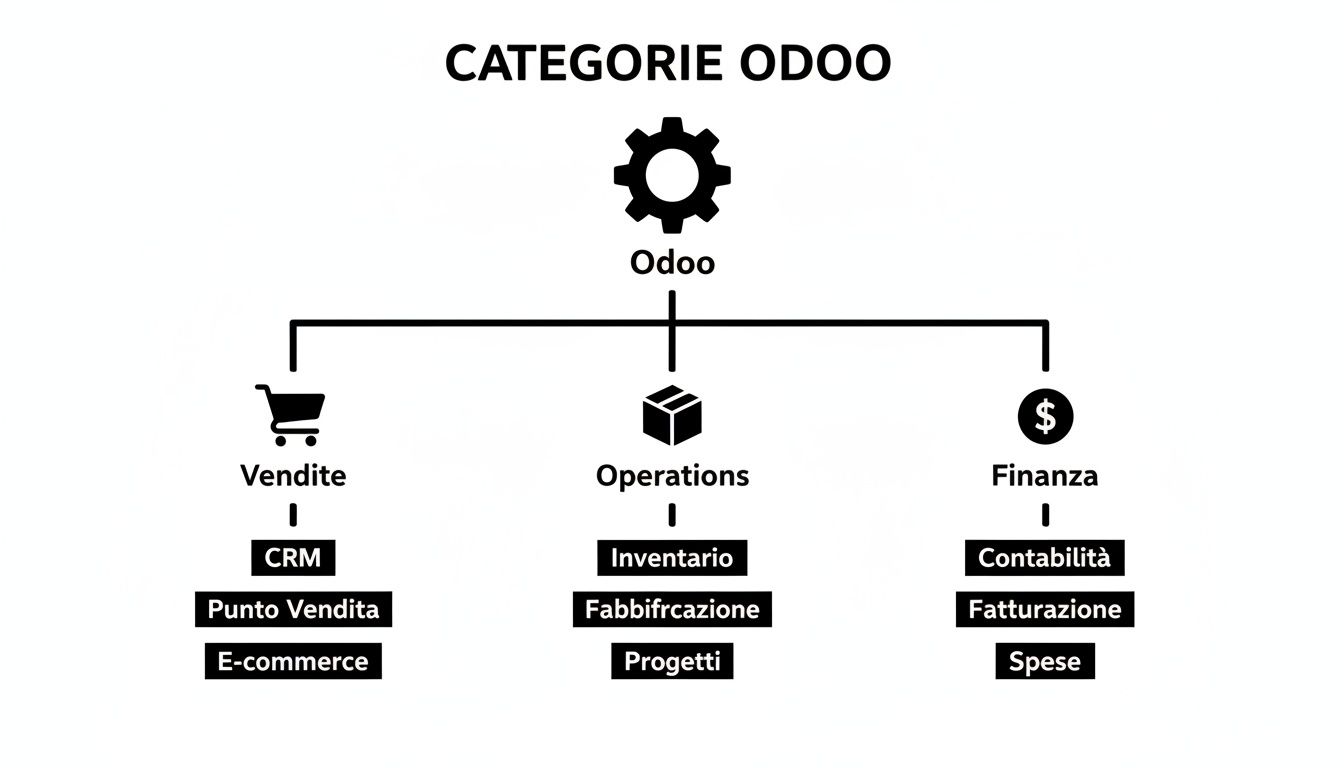 La guida definitiva ai moduli Odoo per far crescere la tua PMI