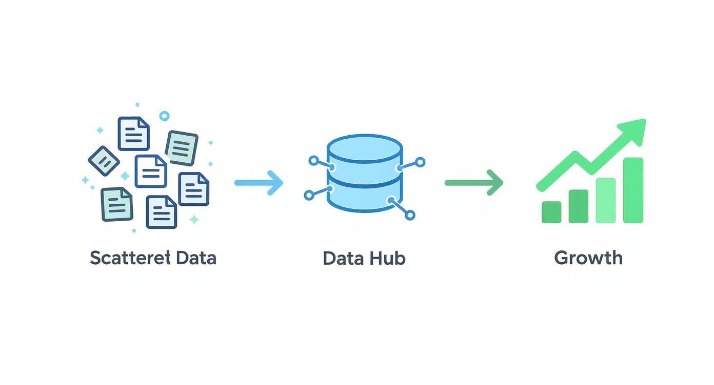 Creating a Data Warehouse: The SMB’s Guide to Escaping Excel Chaos – Vizule – Business Analytics ...