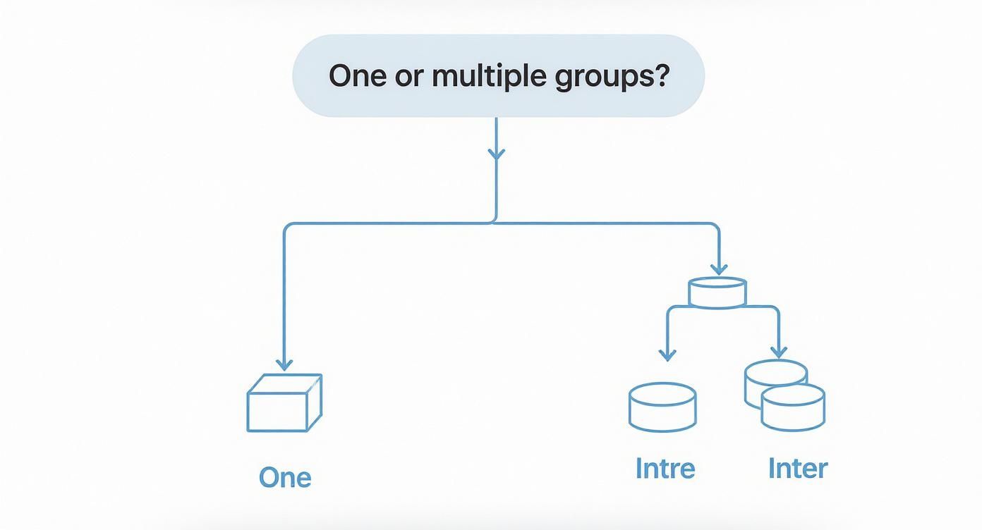 Word Spinner - Inter vs Intra Meaning Explained in Simple Terms