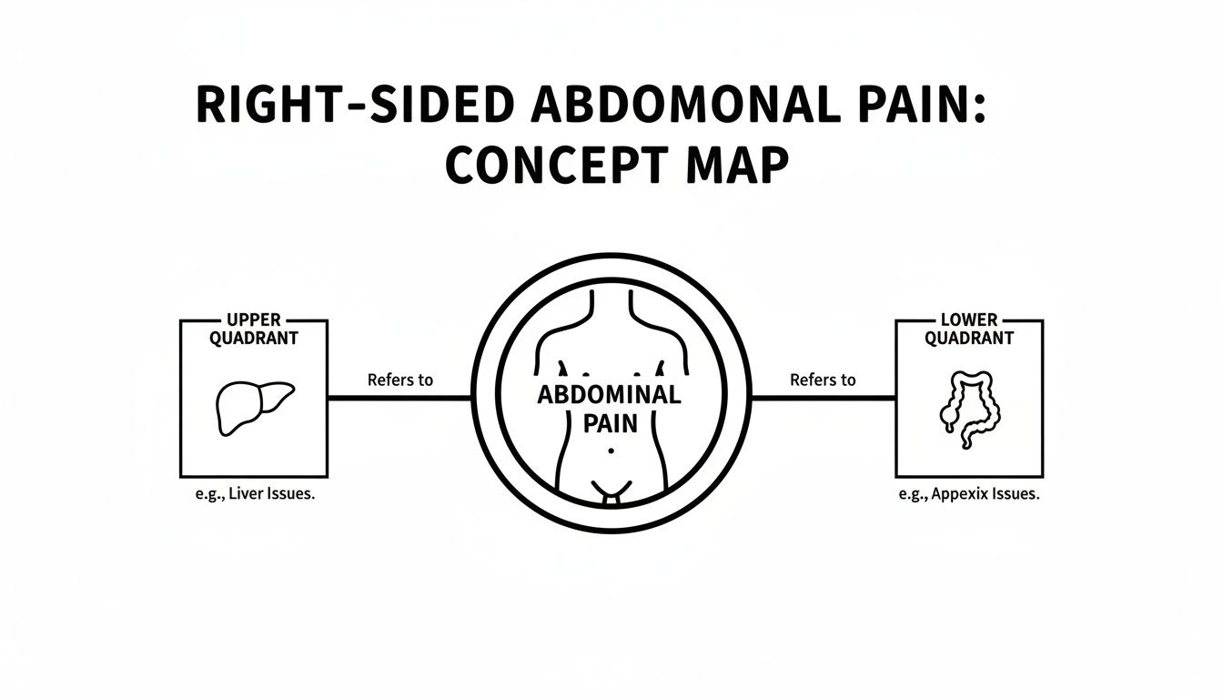 Abdominal Pain Right Side: abdominal pain right side, Causes & Red Flags