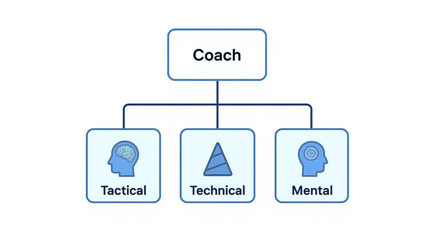 A Modern Guide to the Roles of Sports Coaches – SoccerWares