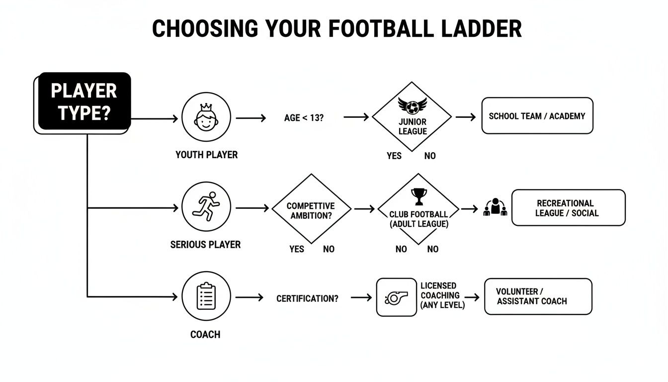 A Pro's Guide to Ladders for Football Training – SoccerWares