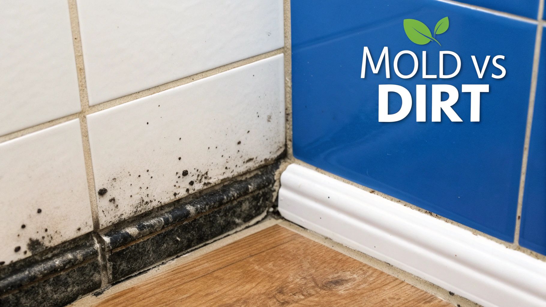 A Guide to Removing Mold Bathroom Problems for Good | Indoor Air ...