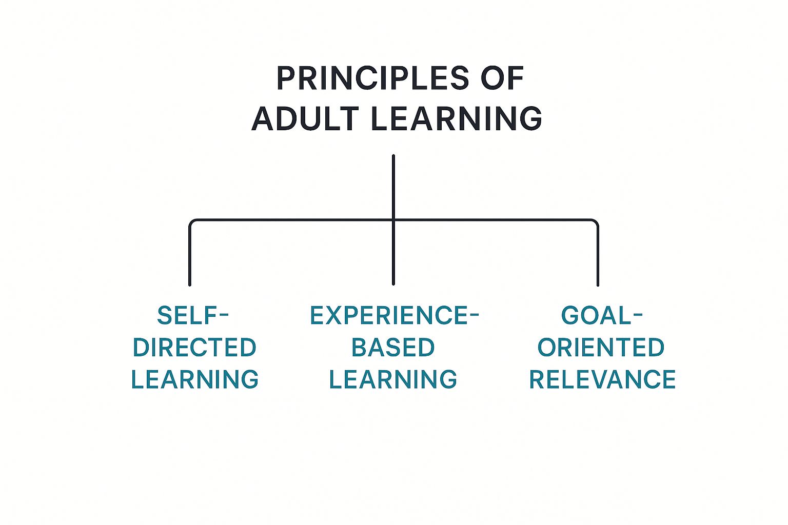 Adult Learning Techniques for MLO License Success - 24hourEDU