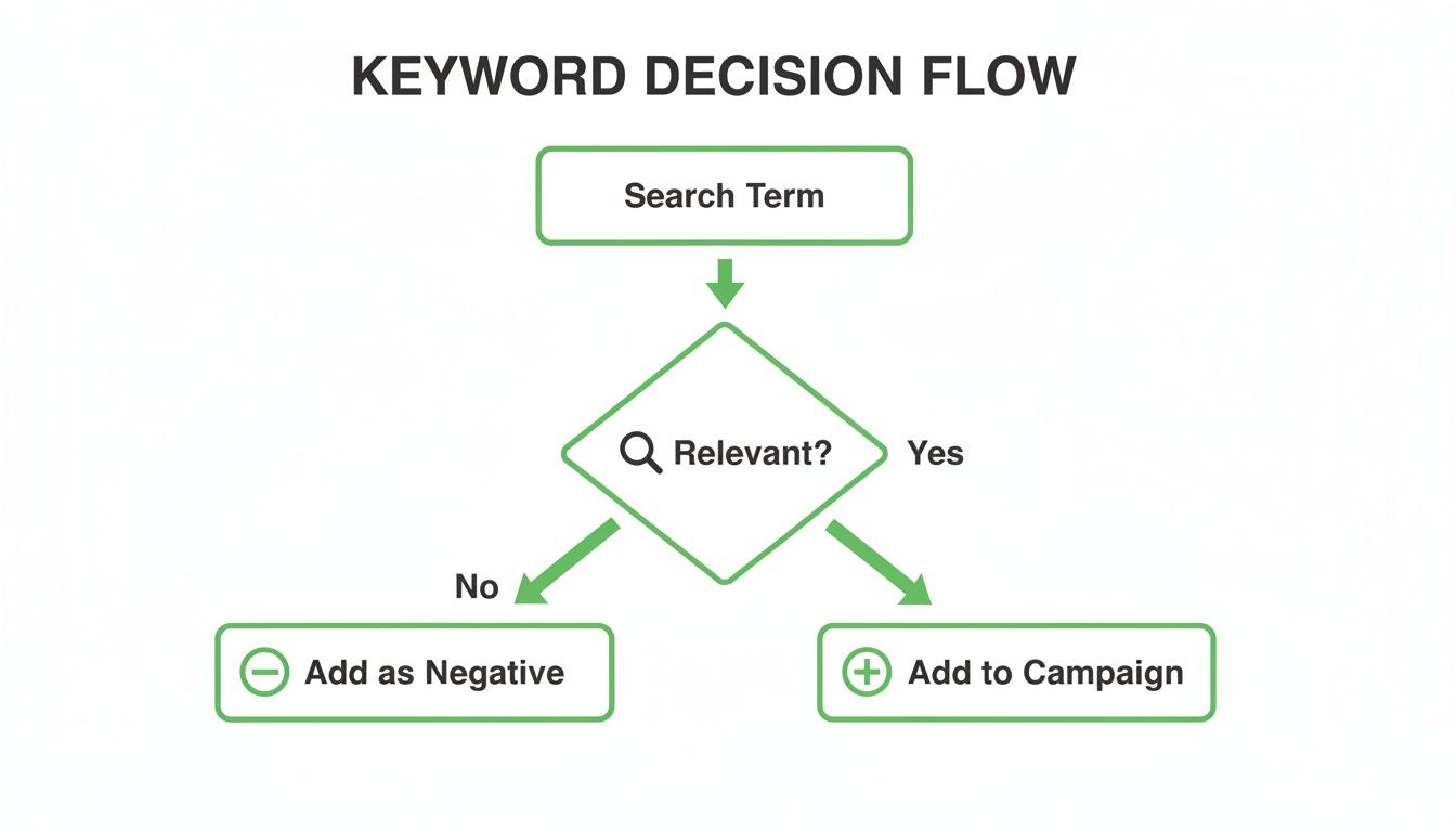 How to Optimize PPC Campaigns on Amazon and TikTok