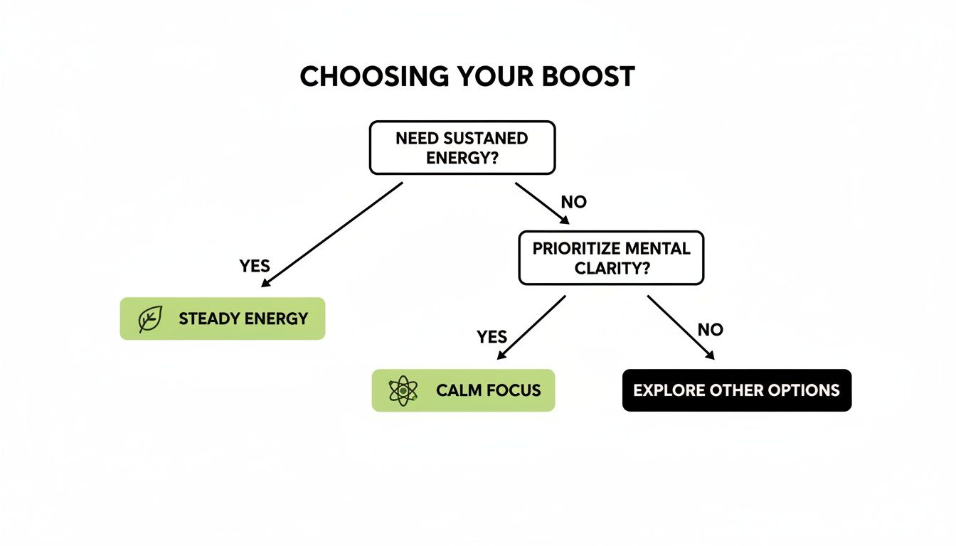 Yerba Mate vs. Green Tea Extract: For Metabolic Thermogenesis – LadyPens