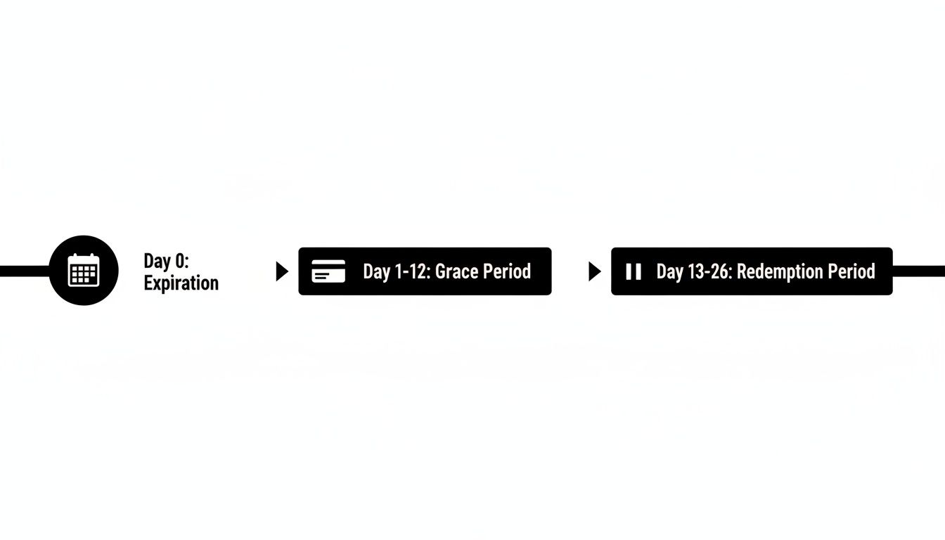 Understanding the GoDaddy Grace Period for Expired Domains