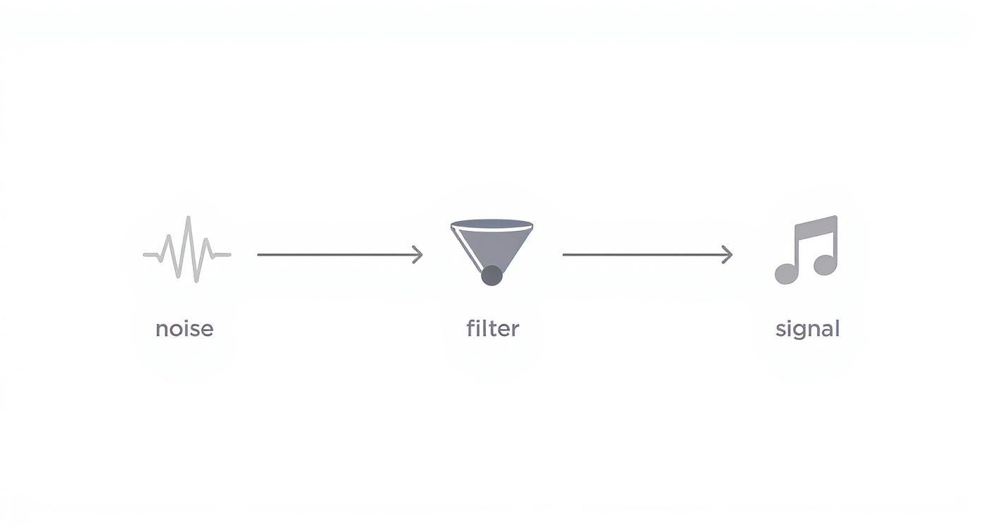 How to Find the Signal in the Noise: A Guide for Your Business