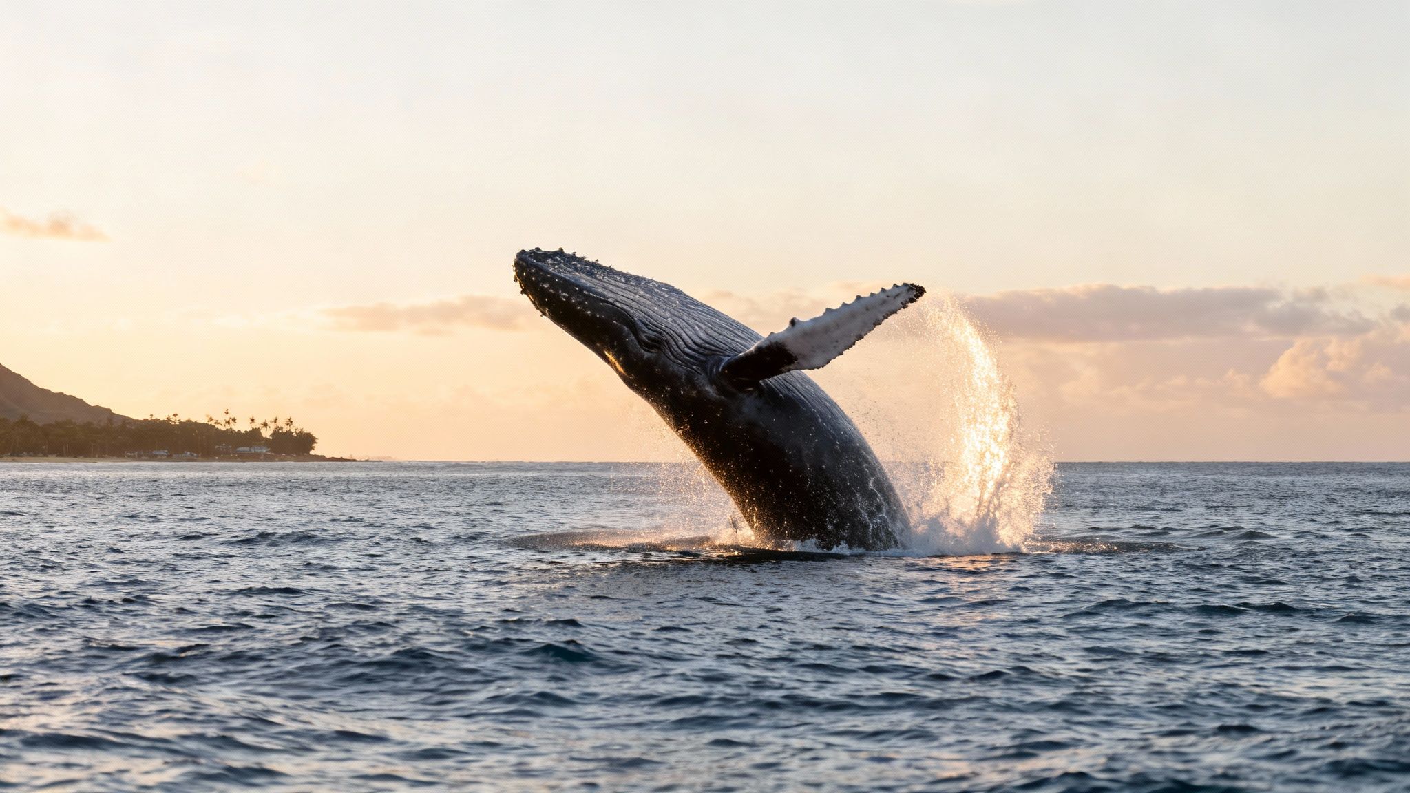 The 10 Best Things To Do In Waikiki For An Unforgettable Trip (2026)