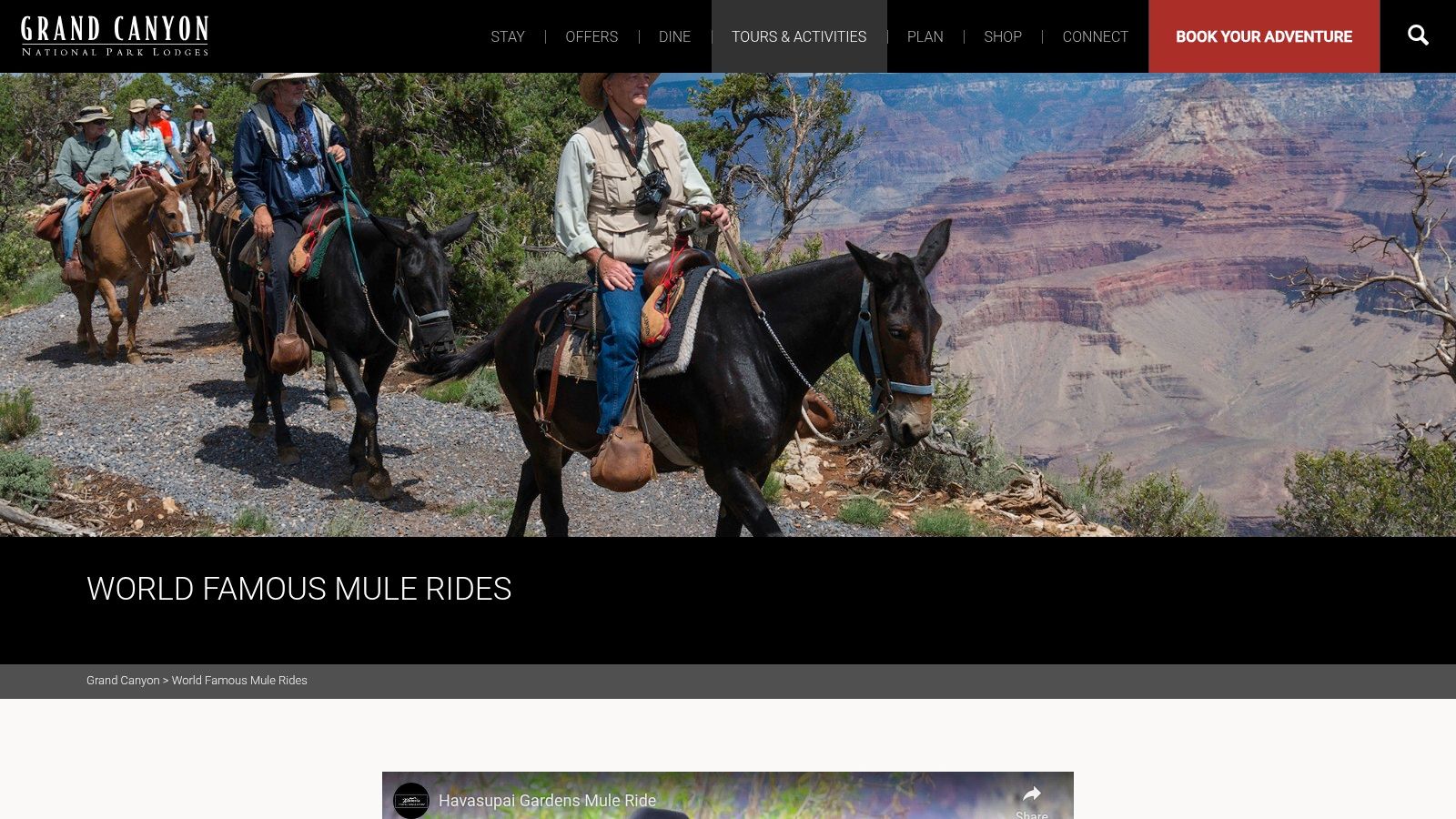 7 Best Grand Canyon Overnight Tours From Vegas & Beyond (2026 Guide ...