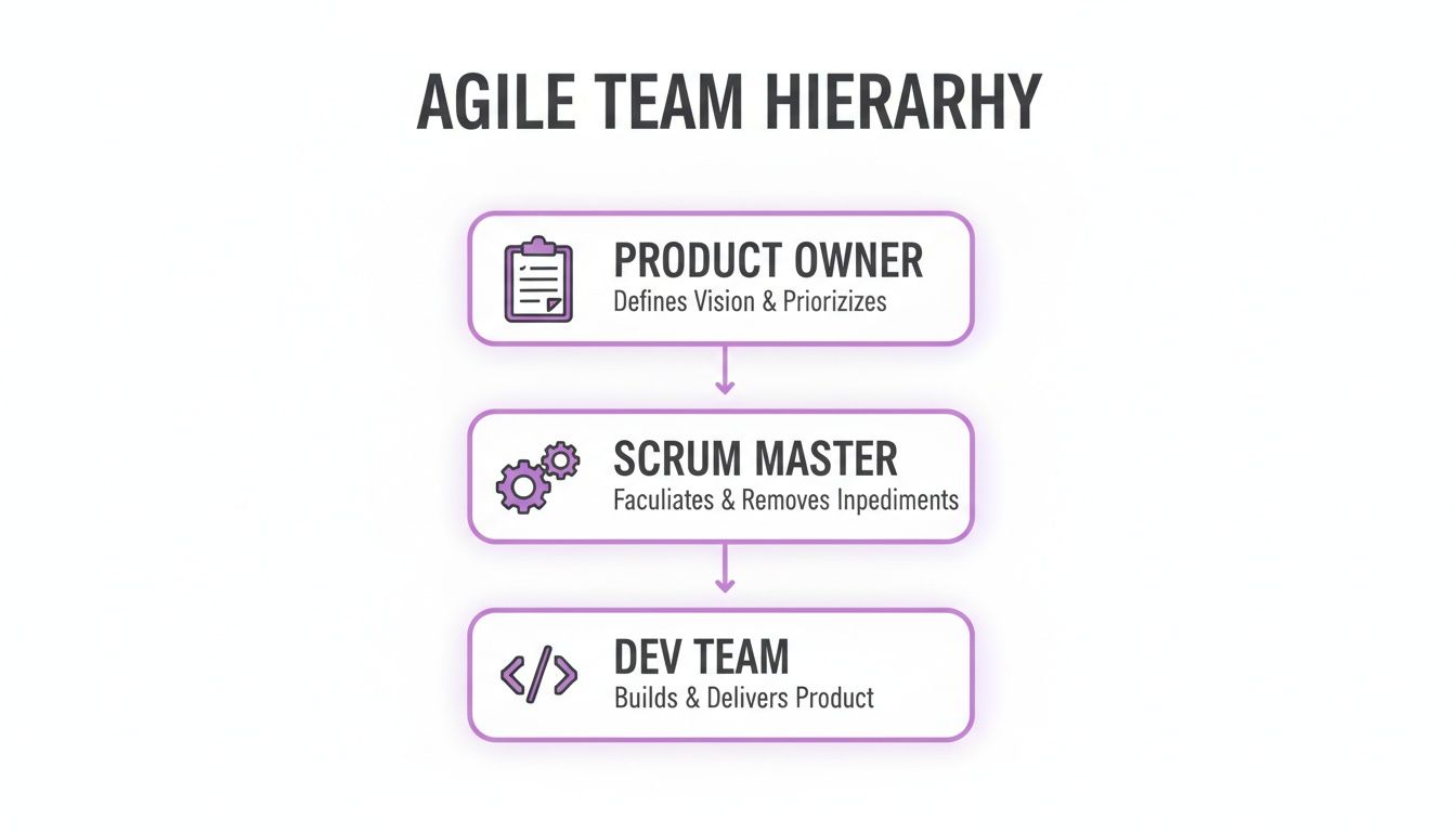 Your Ultimate Guide to Agile Development Team Structure