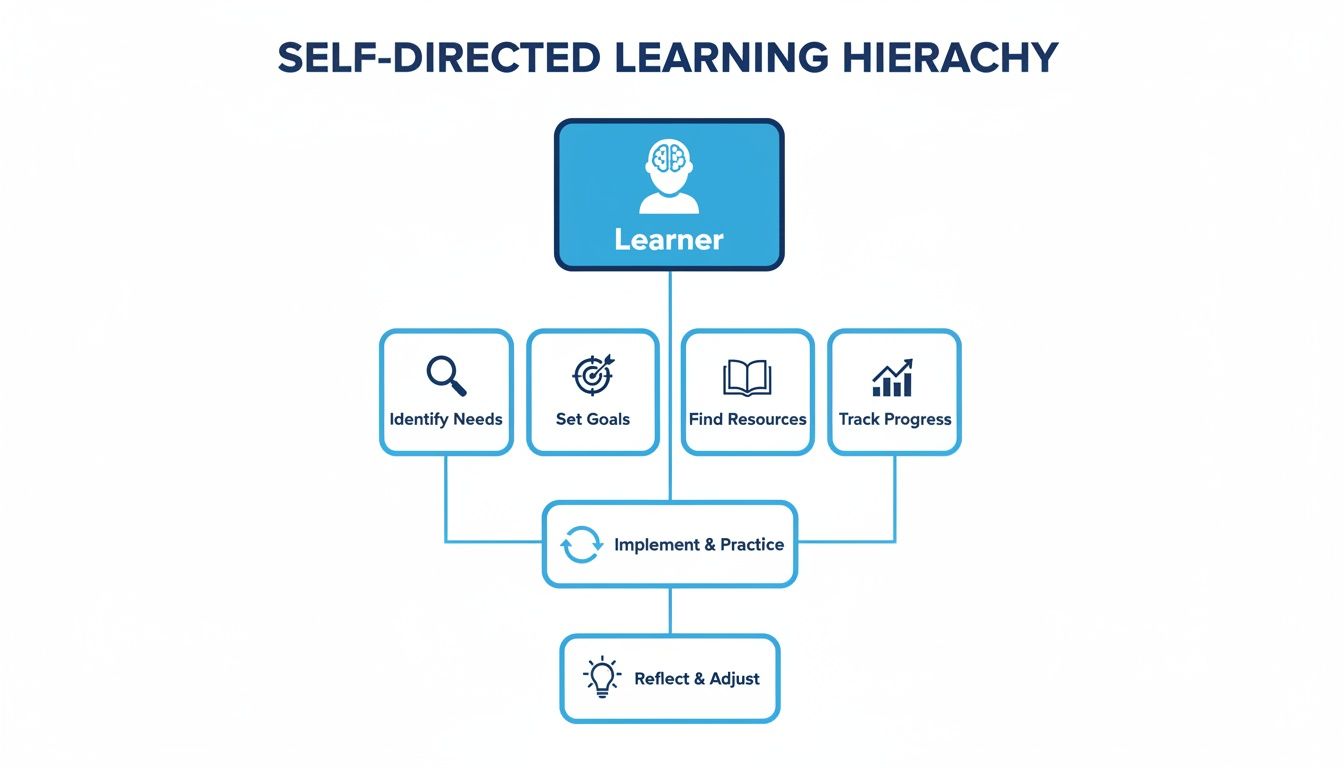 What Is Self Directed Learning and How to Master It – AccessCoursesOnline