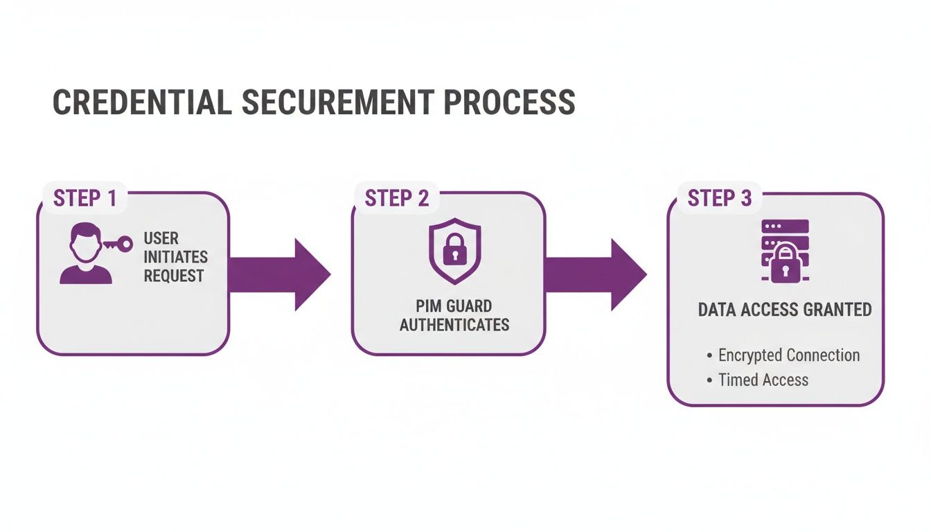What Is Privileged Identity Management: The Guide