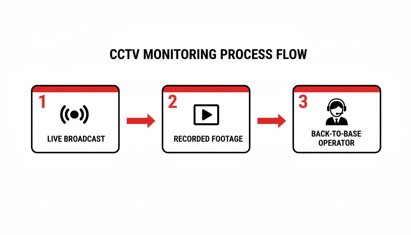 7 Shocking Mistakes To Avoid With CCTV Monitoring Security