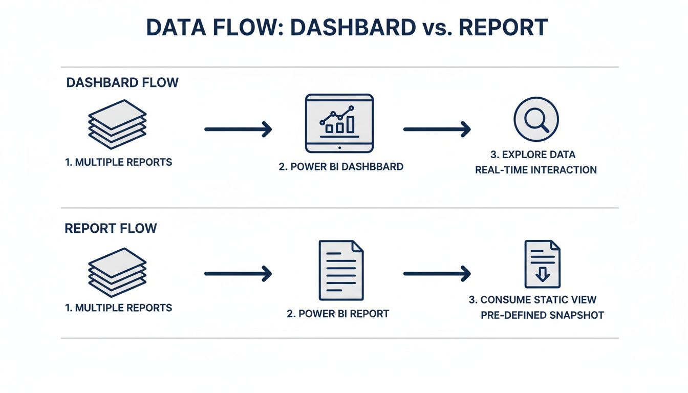 Unlocking Insights with Power BI Dashboards