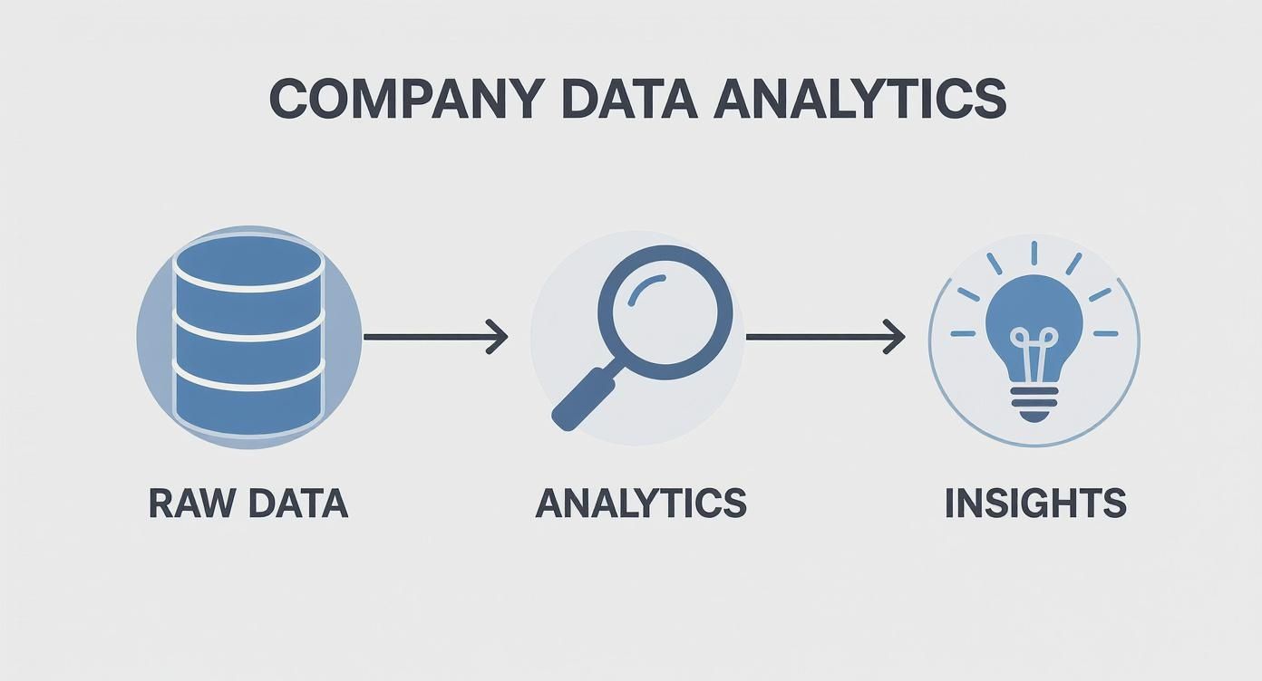 A Practical Guide to Company Data Analytics