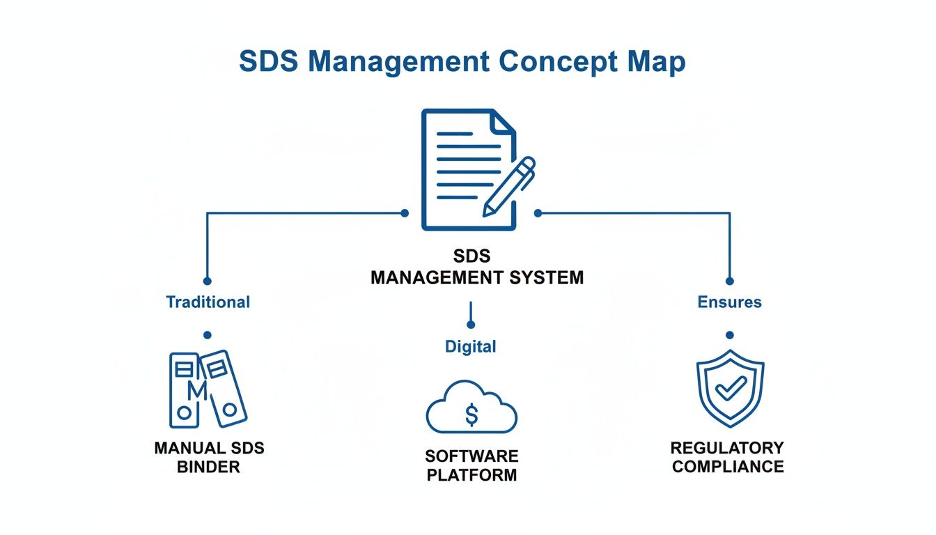 SDS Management Software: Simplify Compliance and Safety