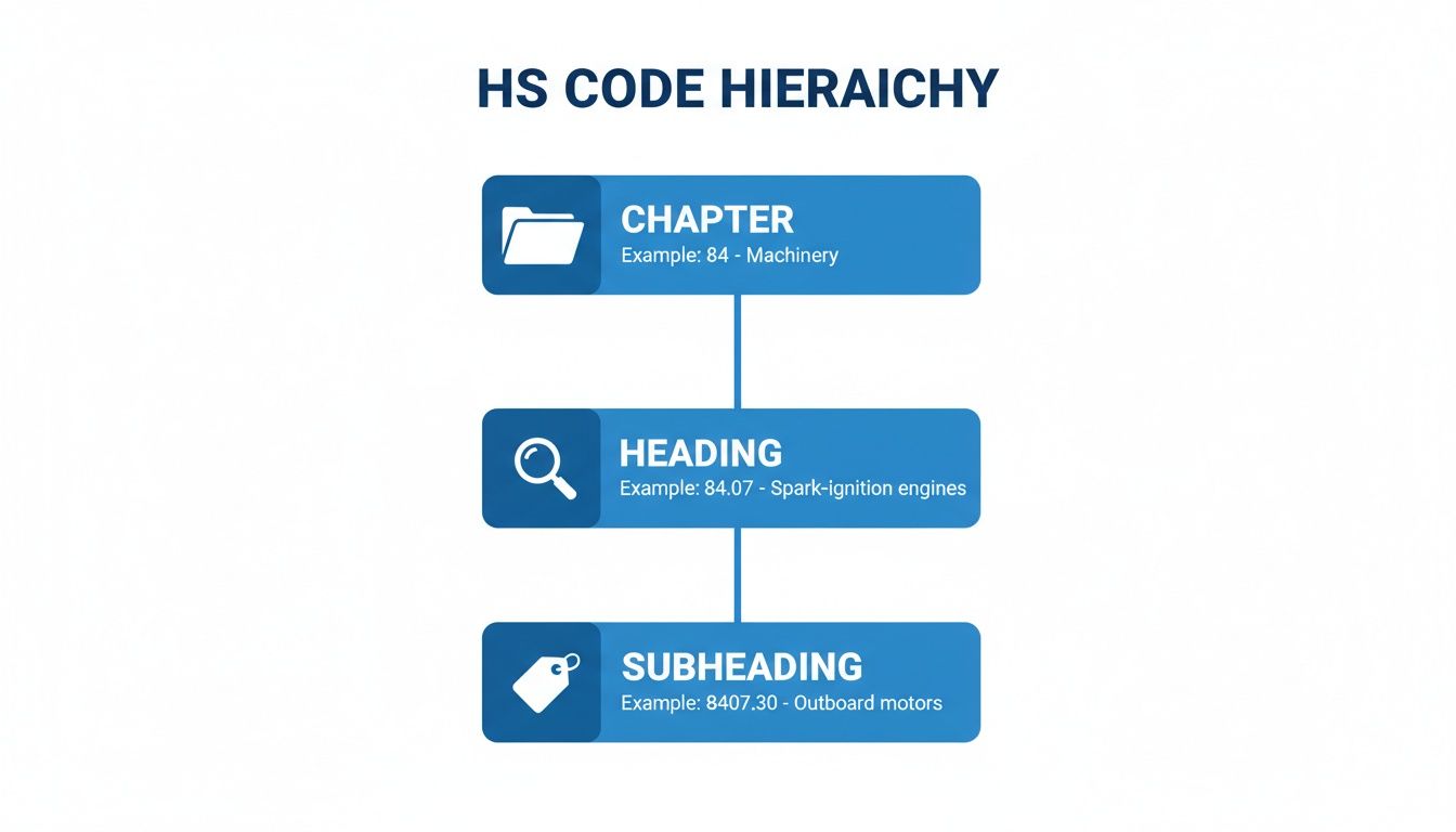 A Practical Guide to the Harmonized Code for Clothing | Coreties Blog