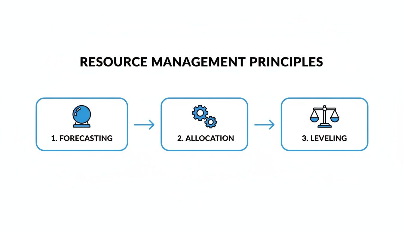 Mastering Resource Management in Projects: A Practical Guide