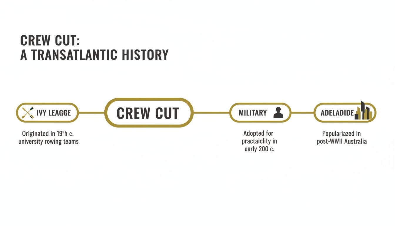 The Classic Crew Cut A Modern Guide to Timeless Style