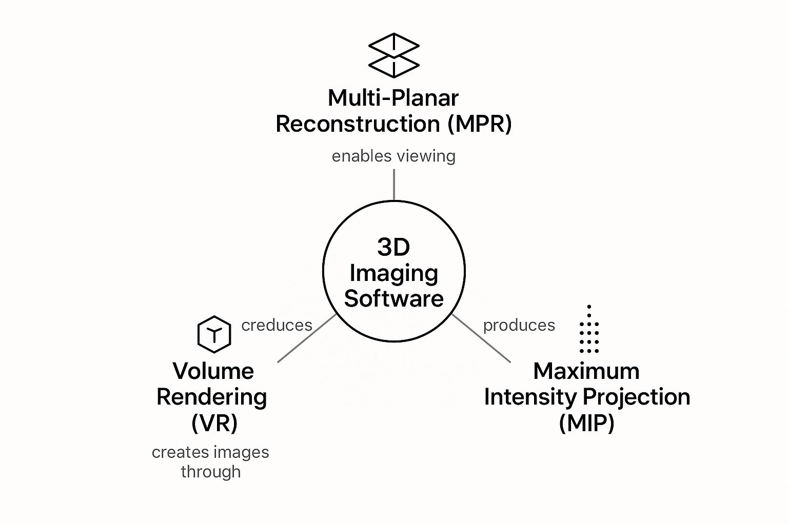 A Guide to 3D Imaging Software in Medicine - PYCAD - Your Medical ...