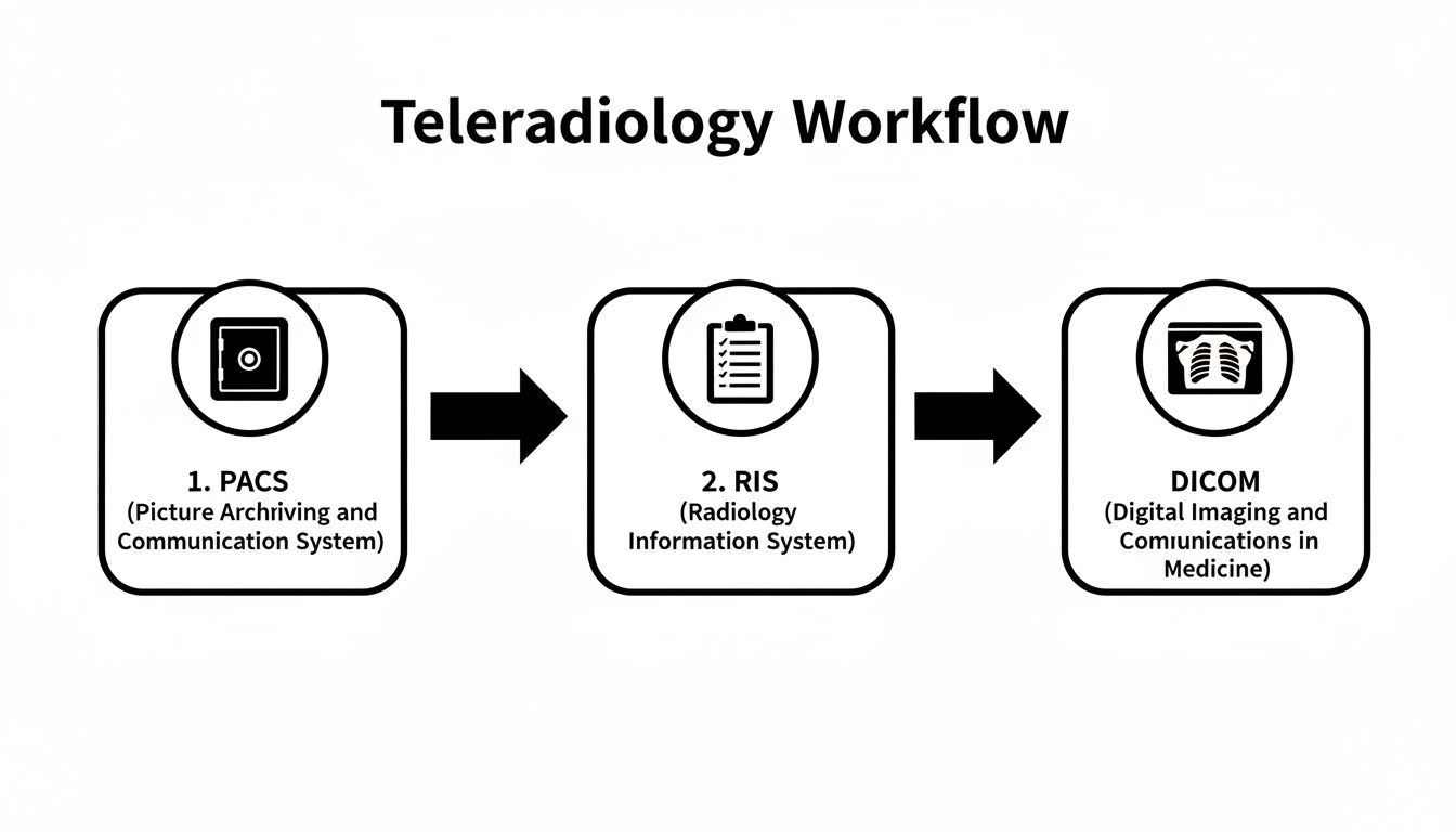What Is a Teleradiologist and How Do They Transform Healthcare - PYCAD ...