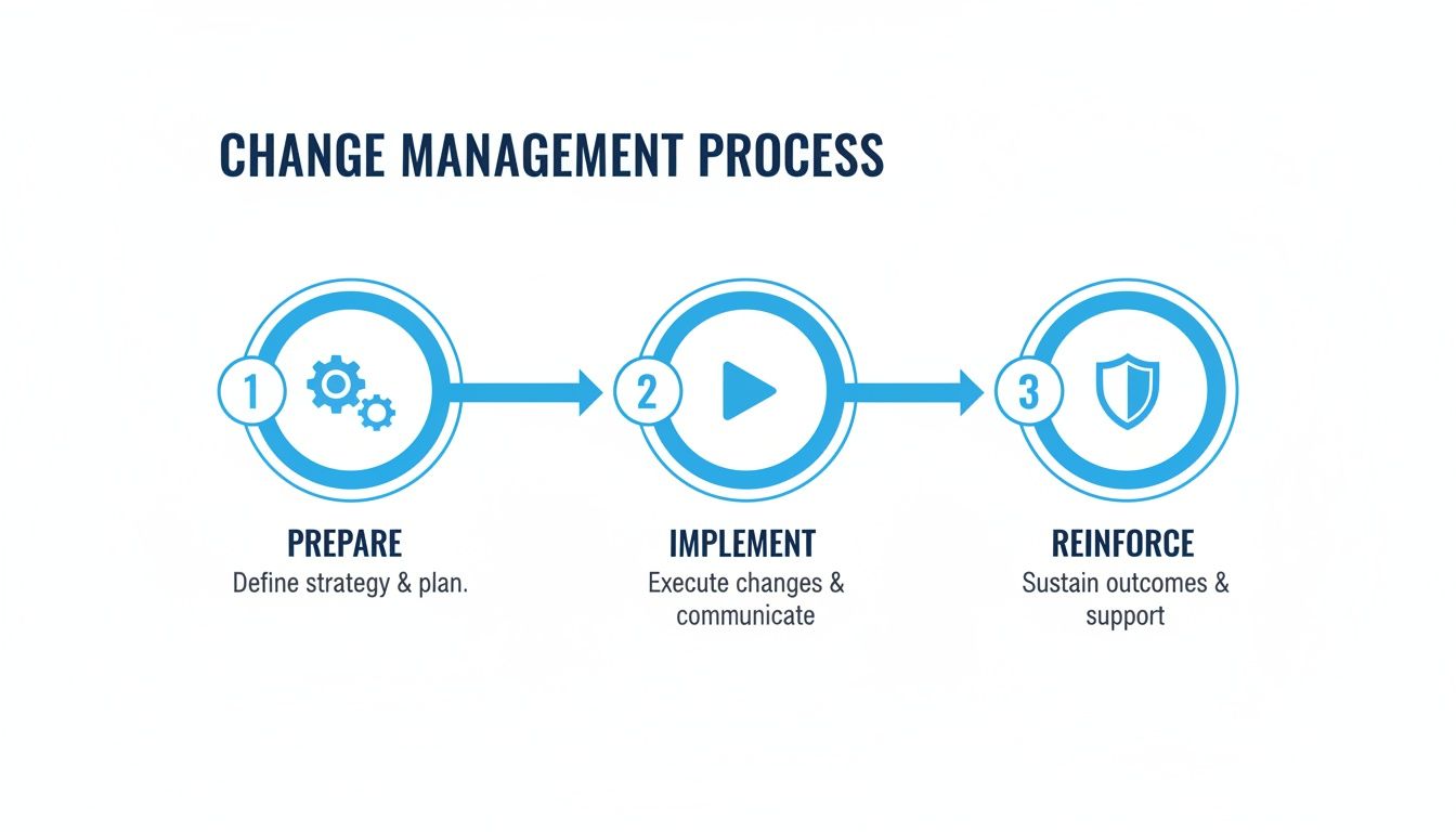 A Practical Guide to Change Management in Digital Transformation ...