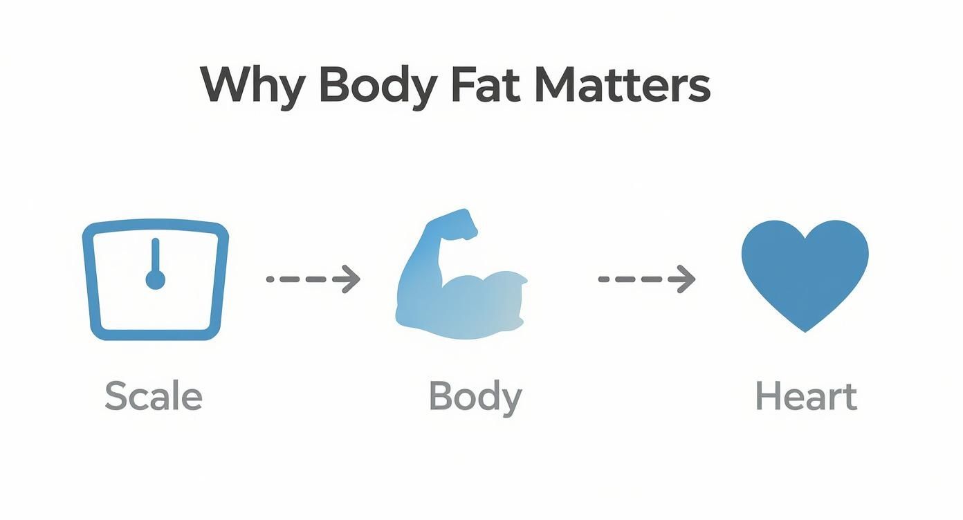 how to measure body fat percentage: A Practical Guide