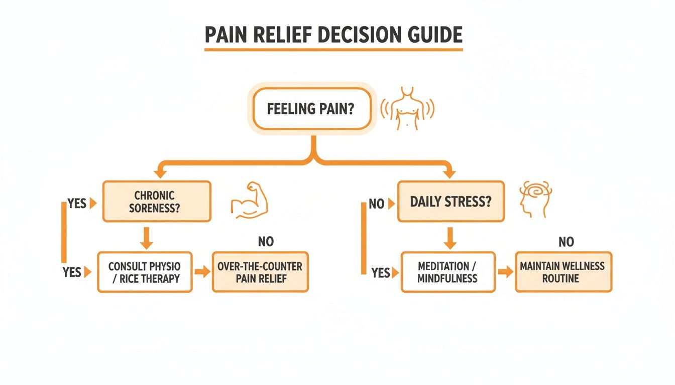 Finding the Best Microwave Heat Pad for Natural Pain Relief – SunnyBay