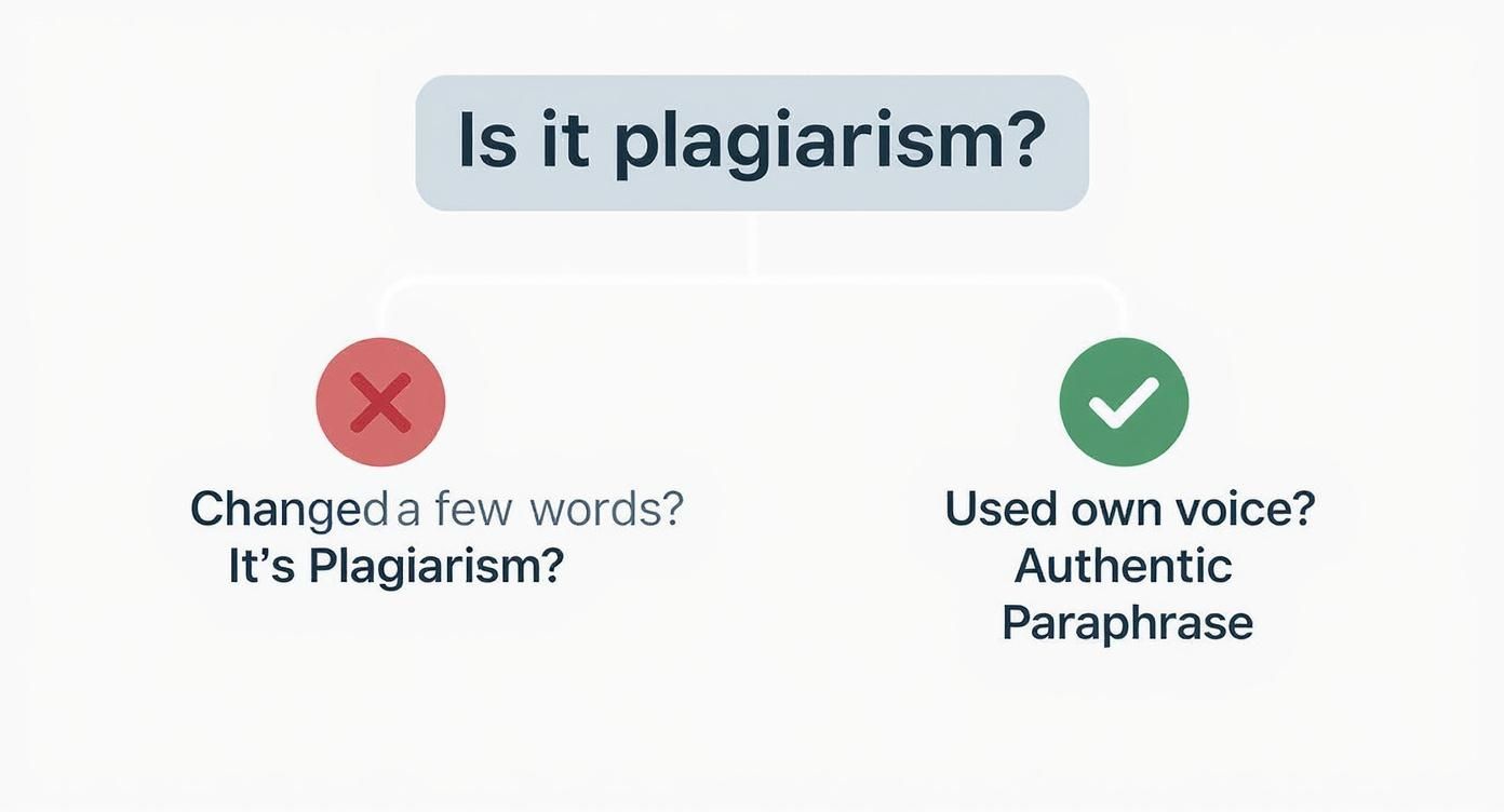 How to Paraphrase Without Plagiarizing: A Clear Guide | Honeybear.ai ...