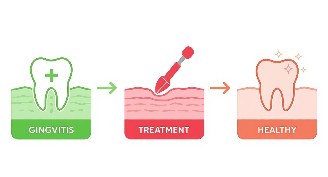 A Guide to how to reverse periodontal disease - Delaware Center for ...