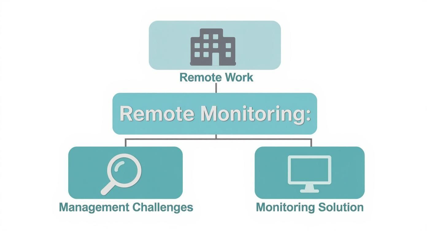 Software to Monitor Remote Employees a Guide to Productivity
