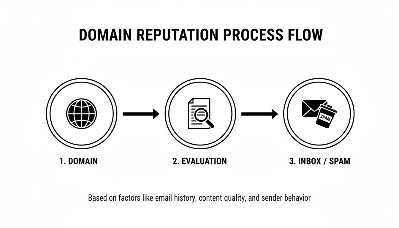 How to Check Domain Spam Score and Safeguard Your Reputation