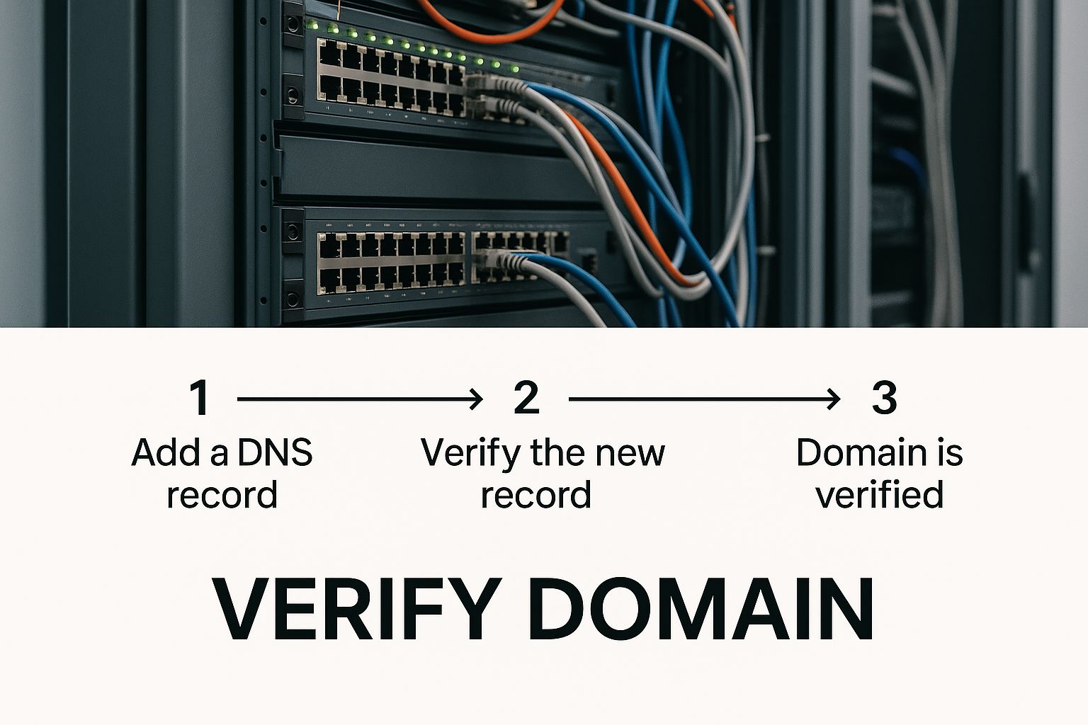 How to Verify Emails and Protect Your Sender Score