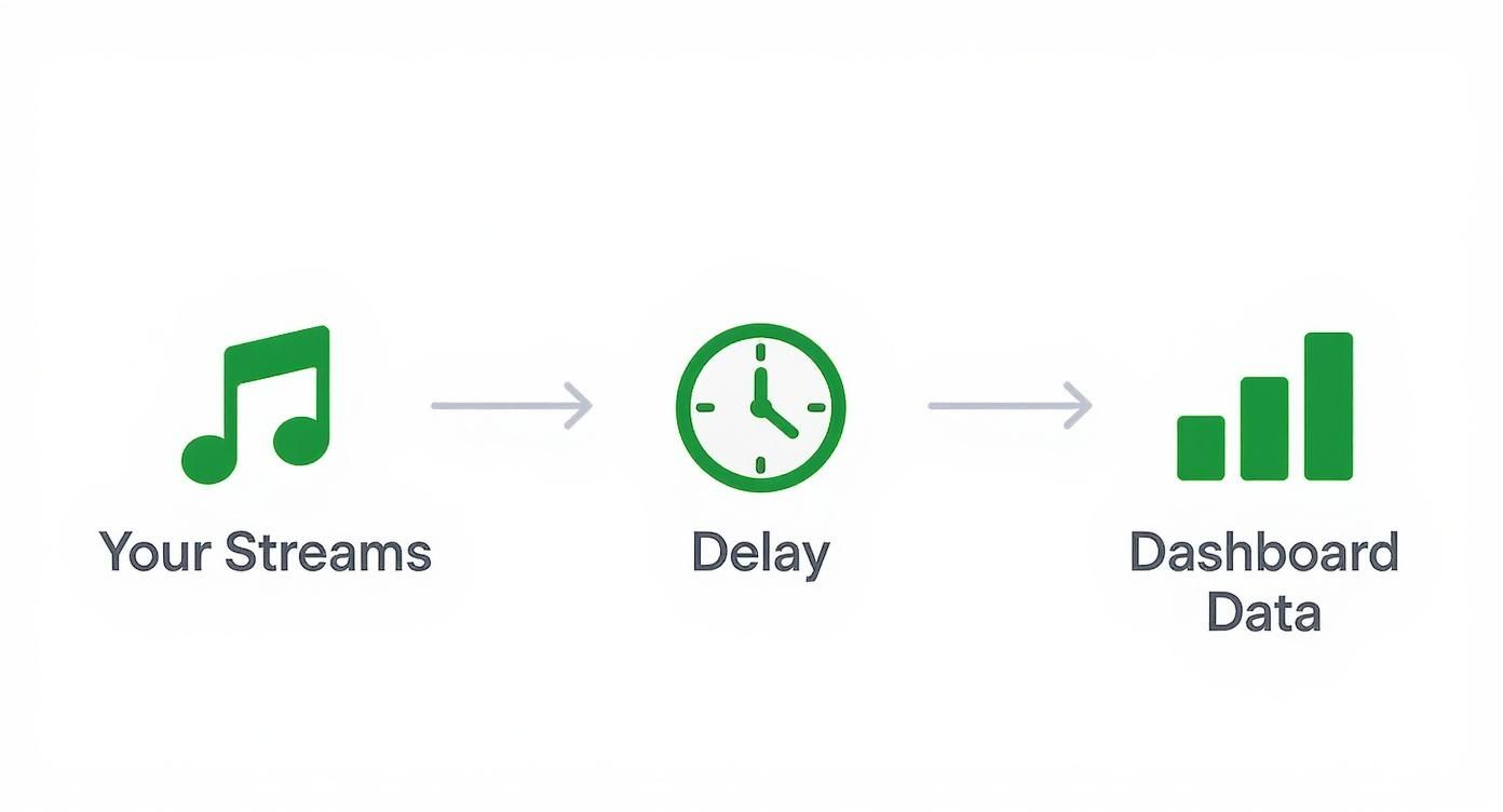 How to Actually Check & Understand Your Spotify Stream Count