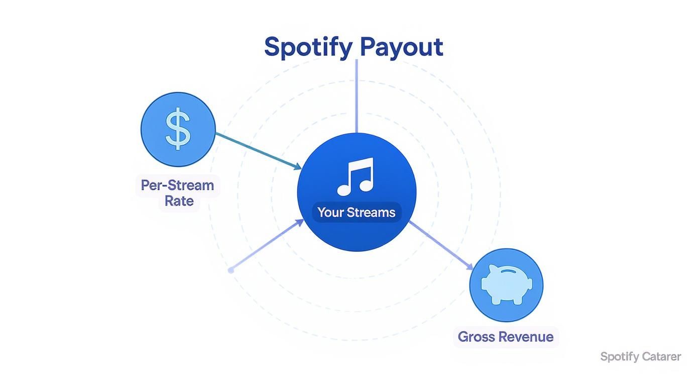 How Much Does an Artist Make From Spotify? A 2024 Payout Guide