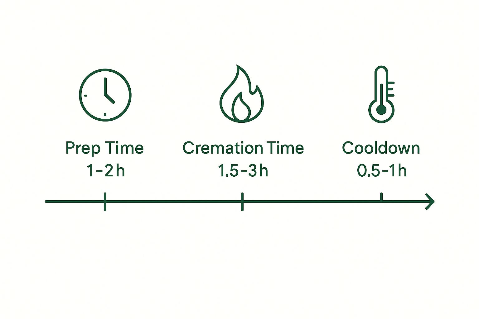 How Long Does Cremation Take? The Complete Timeline