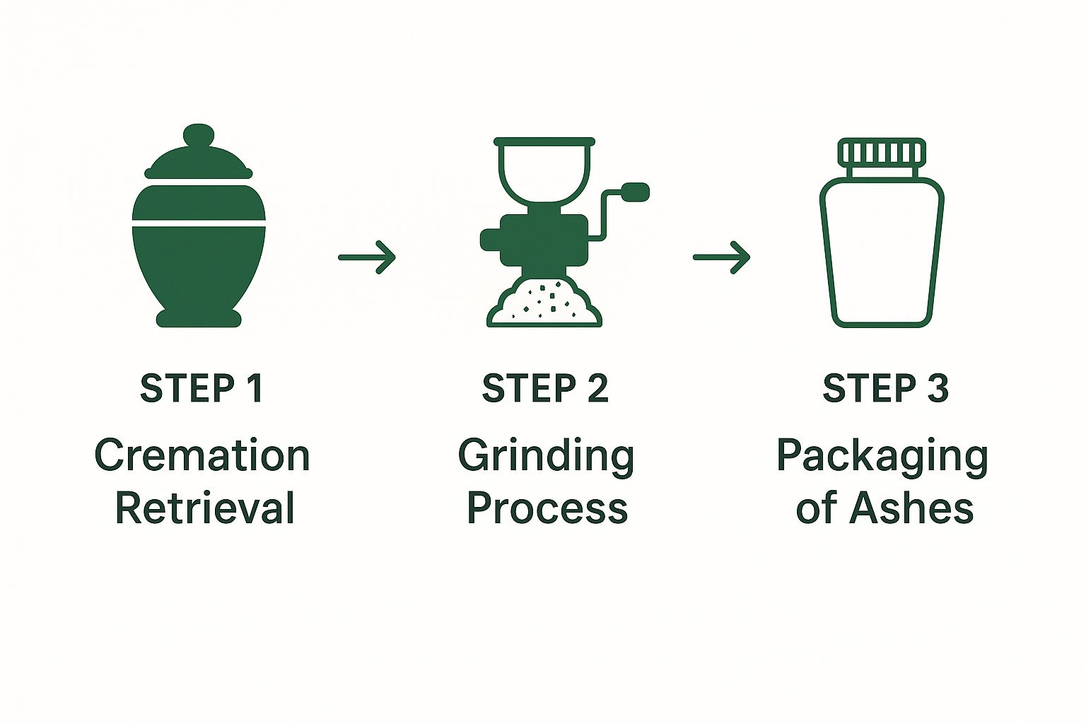 What Happens To Ashes After Cremation Revealed
