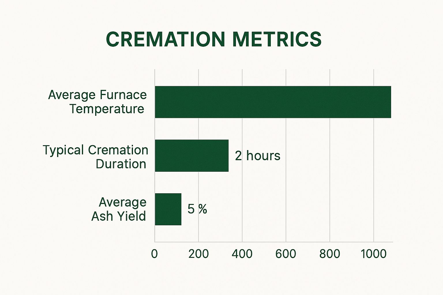 How Does Cremation Work? A Compassionate Guide