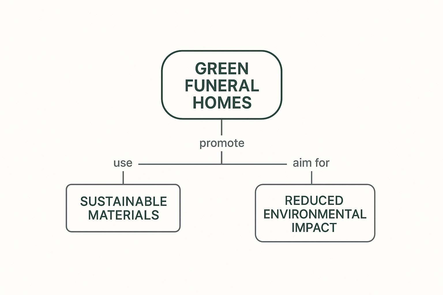 A Guide To Green Funeral Homes And Natural Burials