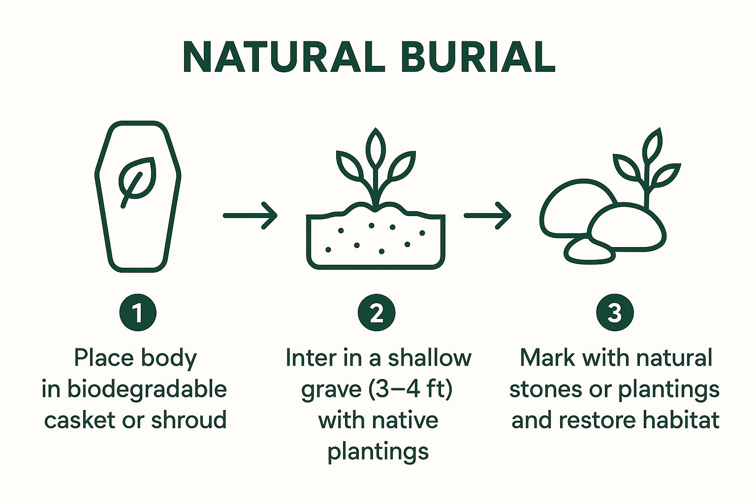 8 Green Burial Options You Should Know