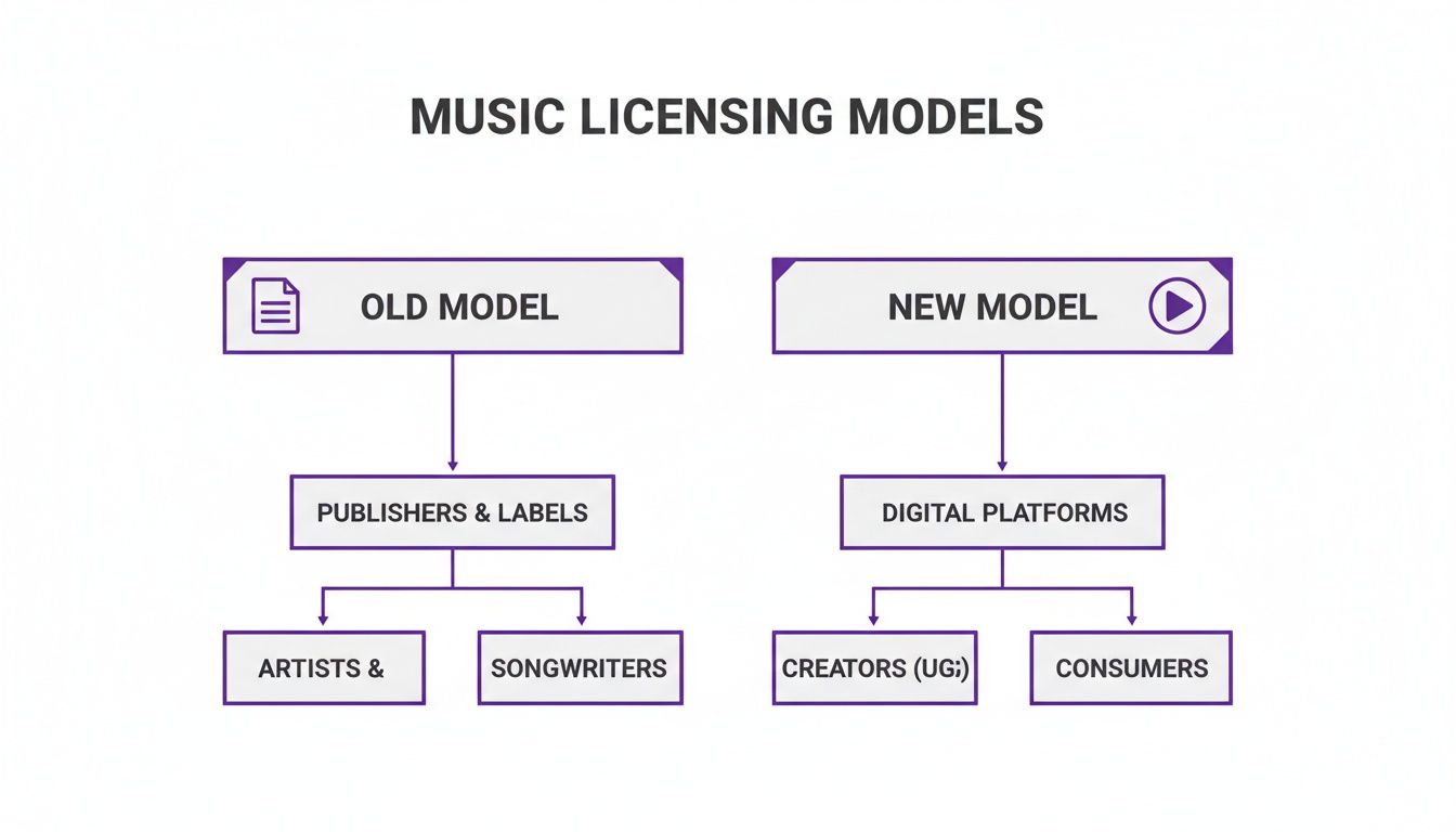 Royalty Free Music, Free Hip Hop Samples, Beats, Sound Packs