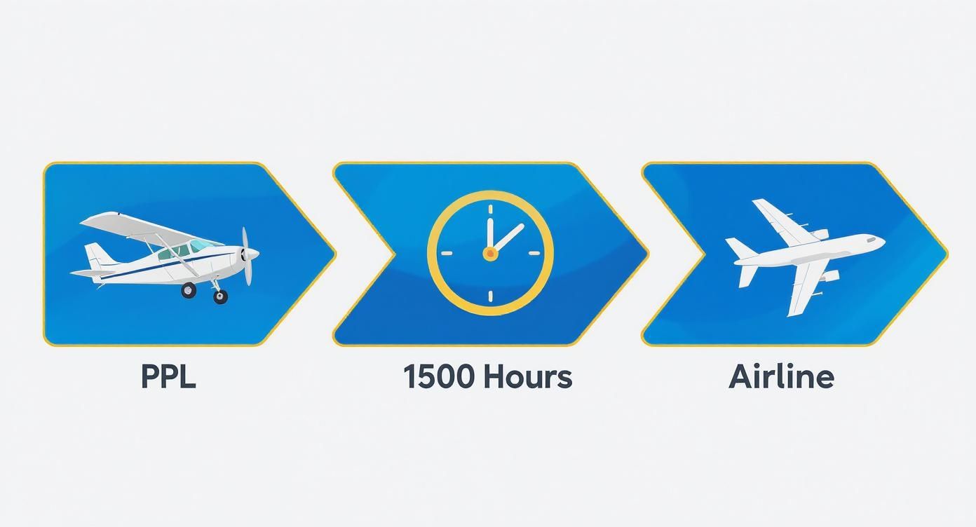 Your Guide to the Airline Pilot Career Path