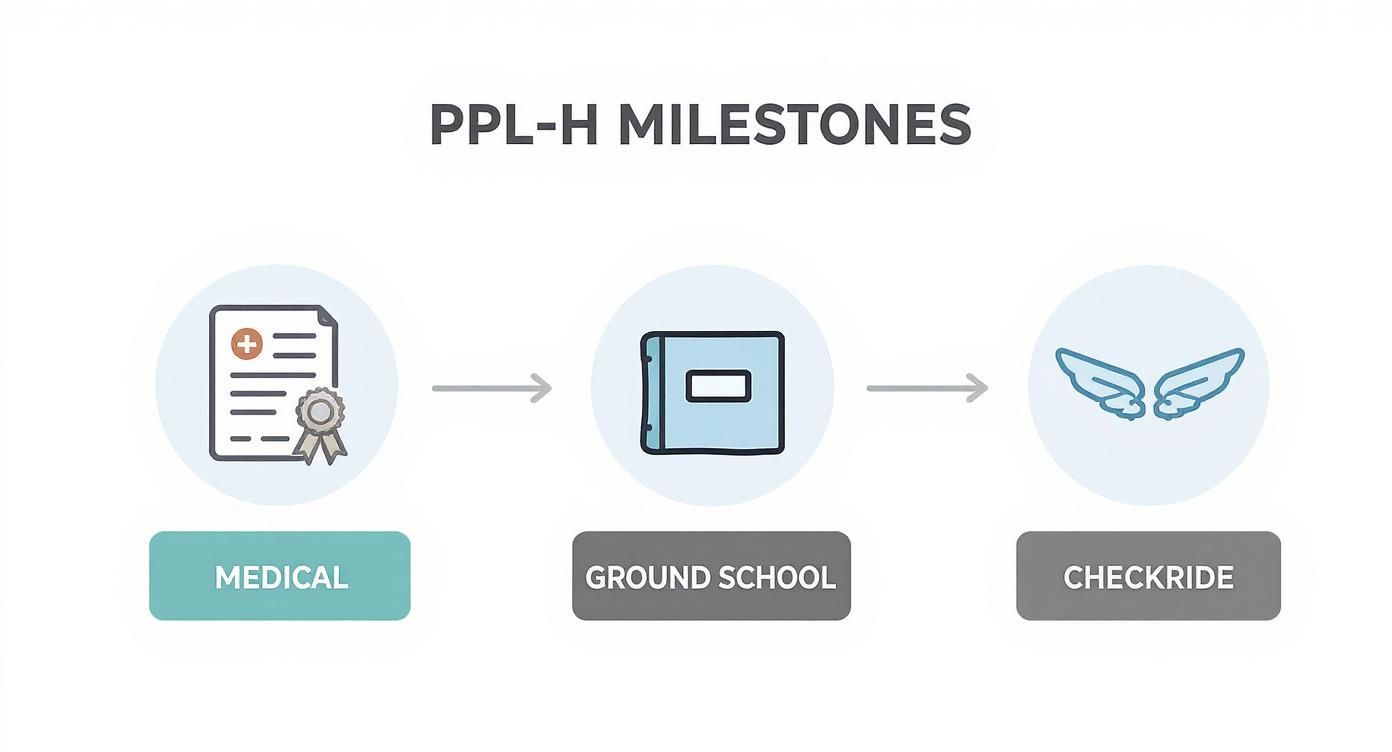 Your Guide to a Private Pilot Helicopter License