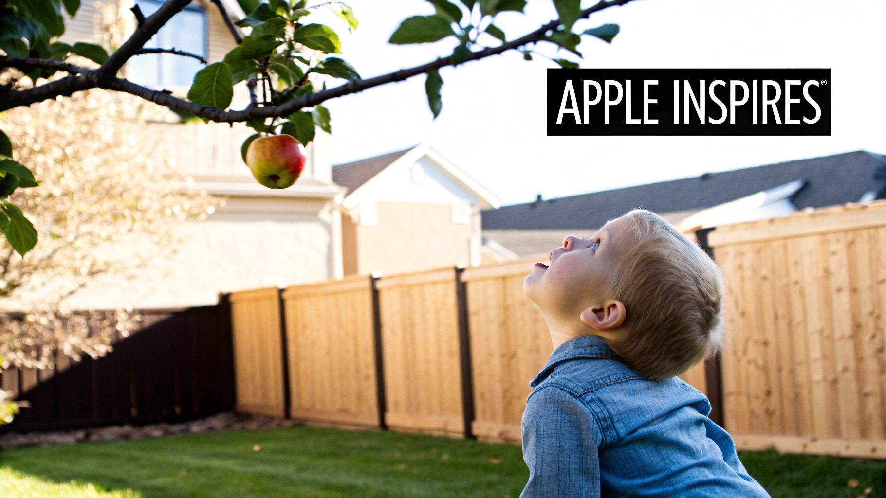 Gravity Explained for Kids: A Simple Guide to the Force That Holds Us Down