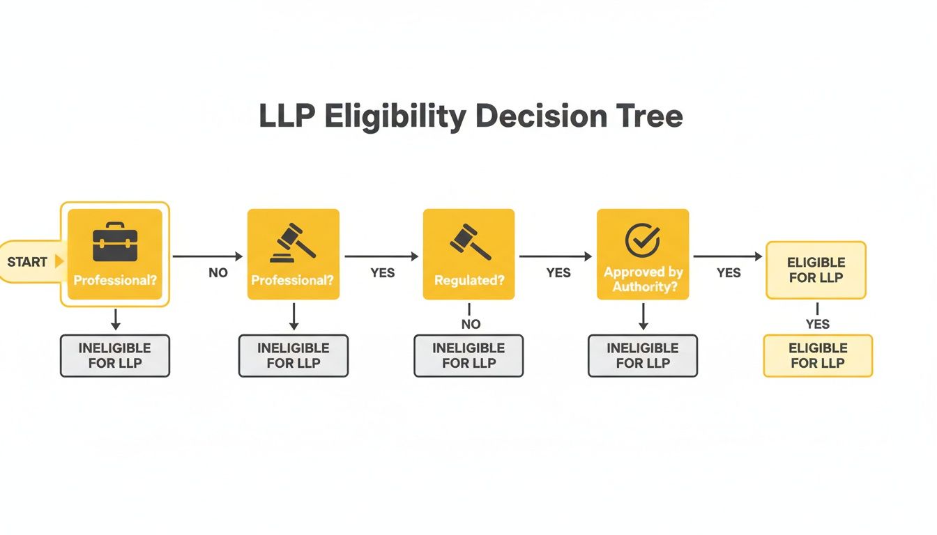 Limited Liability Partnership Canada Guide for Ontario Professionals